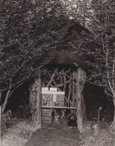 Capturing the song of the nightingale - Science Museum Group Journal