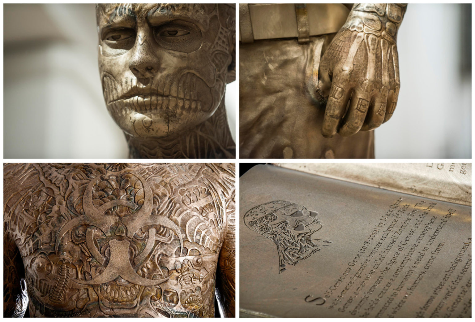 Artist interviews – new art for Medicine: The Wellcome Galleries ...