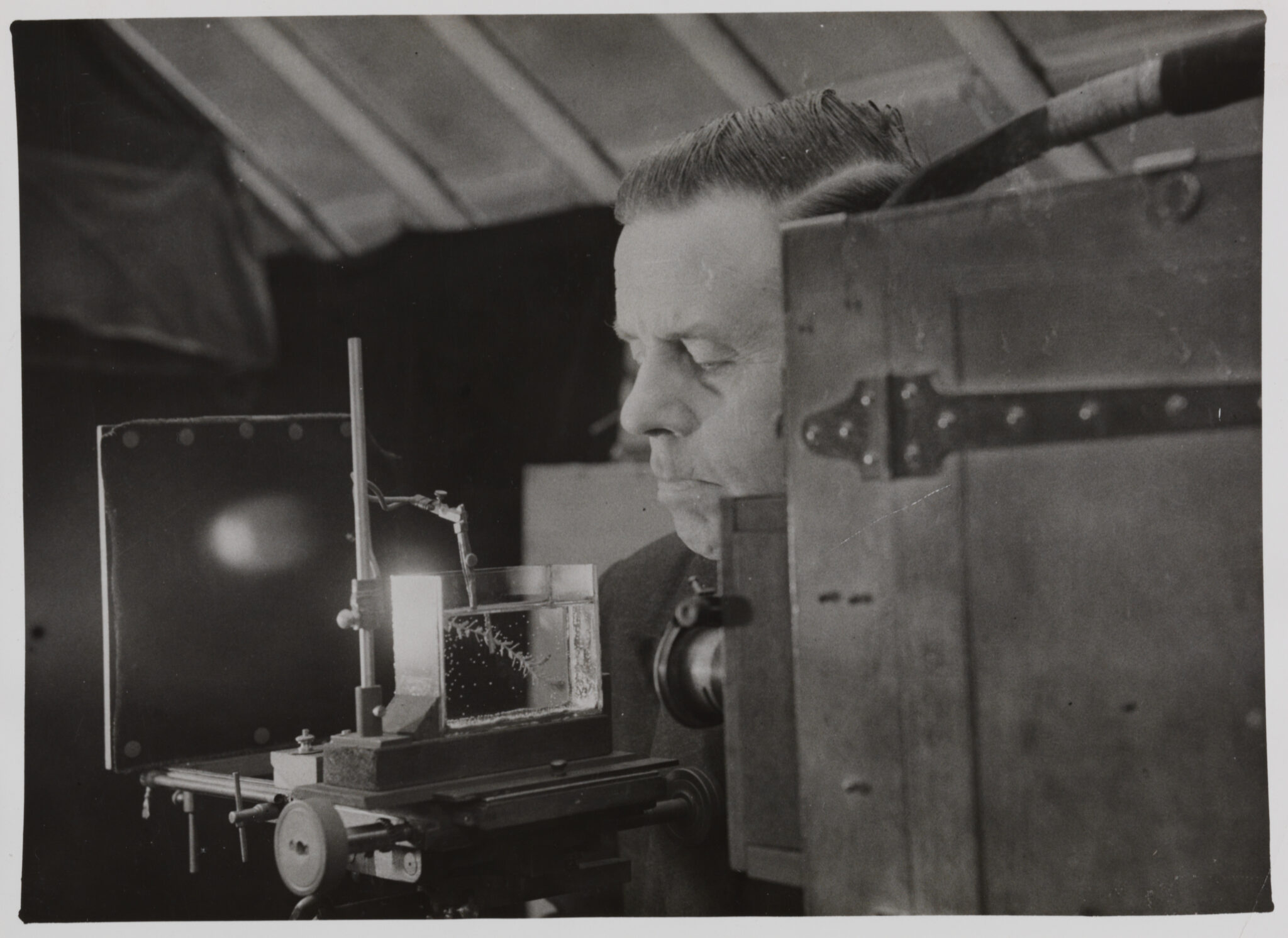 Tinkering with nature: craft, domesticity and female labour in F Percy ...